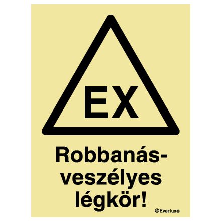 Robbanás veszélyes légkör 'EX' UV piktogram 150x20